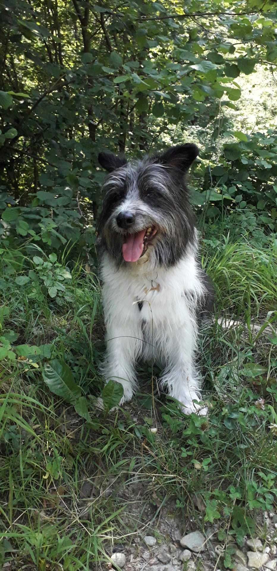 Madeleine Gillon - Roxanne - Crema Dignity